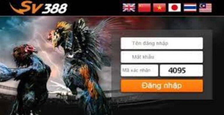 Sv388 đá gà trực tiếp - Nơi tập họp những kèo cược số 1 - 8XBet Club